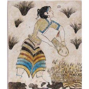 History of saffron - Crocussativus