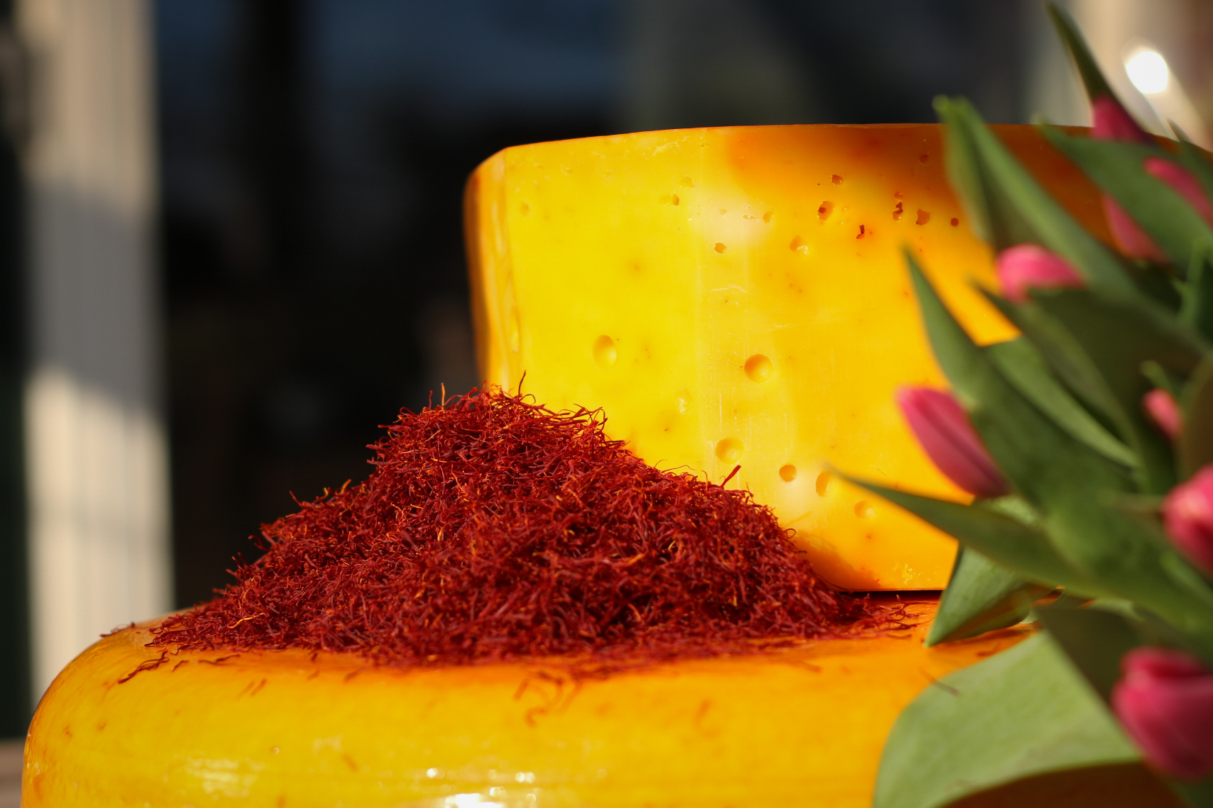 Saffraan kaas - Crocussativus
